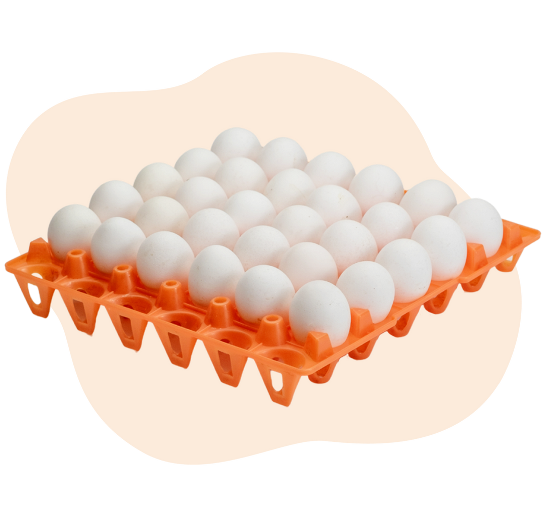 Eggcelsior