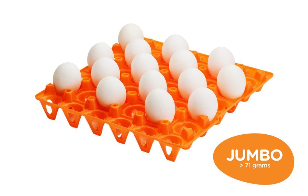 Products – Eggcelsior