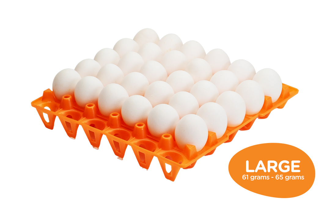 Products – Eggcelsior